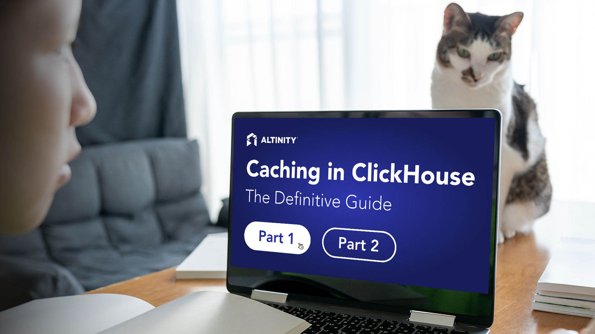 Caching in ClickHouse® - The Definitive Guide Part 1 | Altinity Blog
